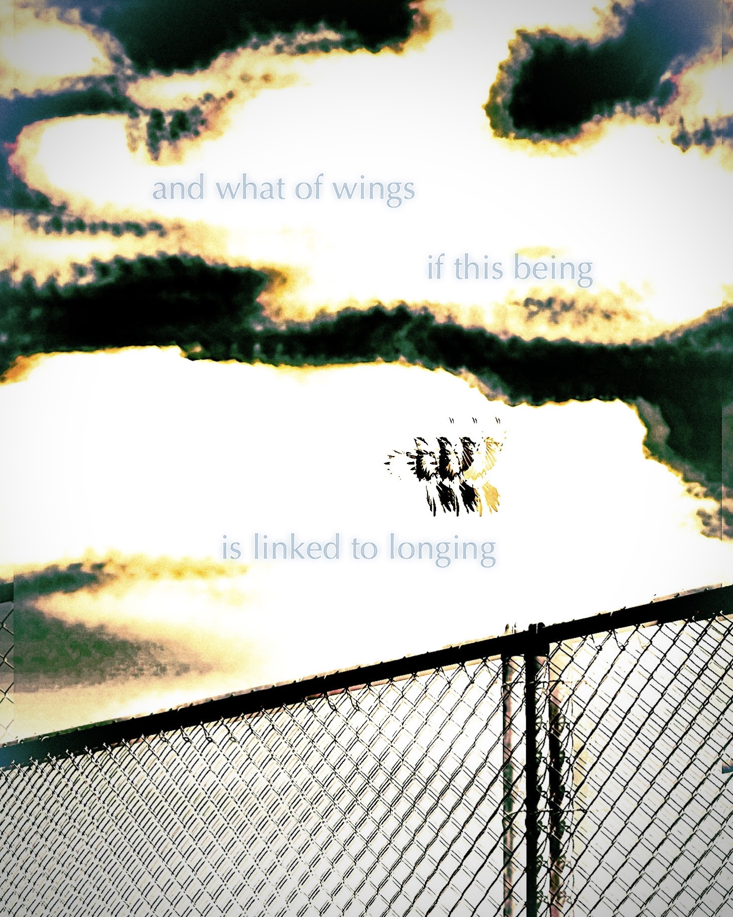Visual Poetry by Melissa Nunez – sage cigarettes magazine